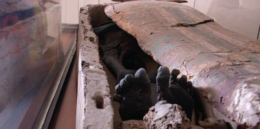 Gemummificeerd vlees als luxeproduct | Archeologie Online