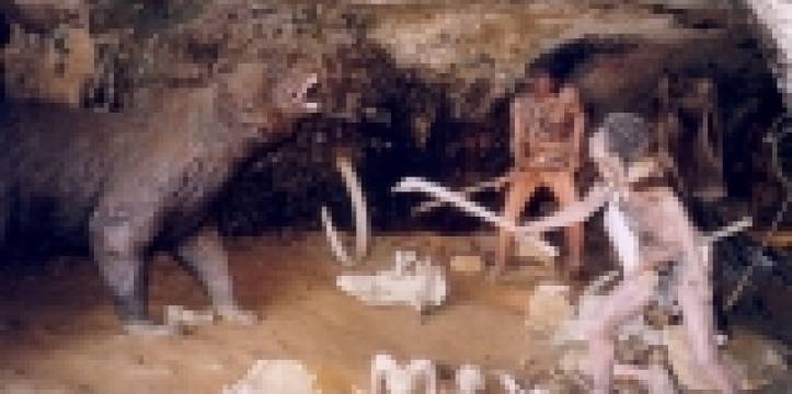 Archeologen Vinden Werktuigen Neanderthalers In Limburg Archeologie